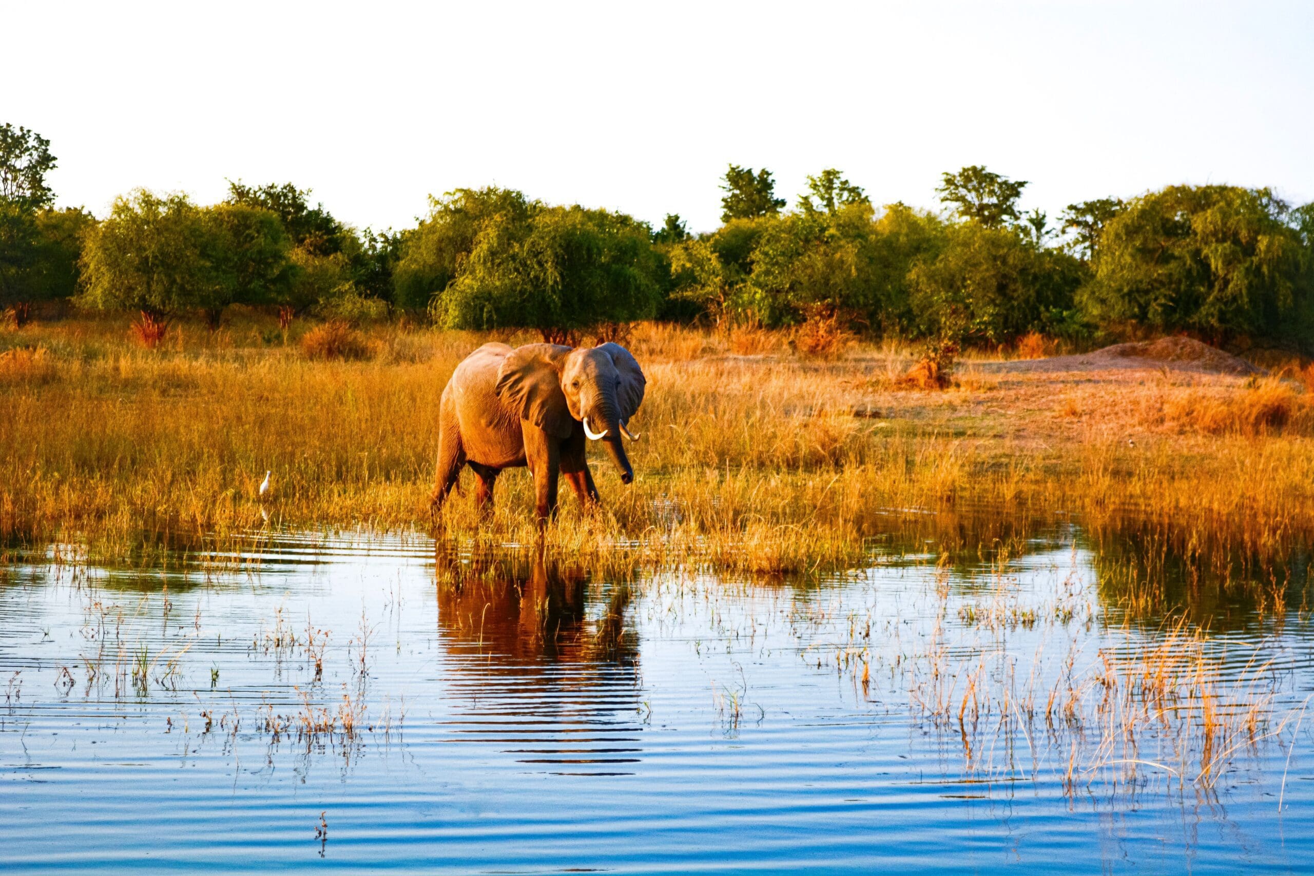 Resor till Zimbabwe & södra Afrika - Sydafrikaresor Resor till Zimbabwe & södra Afrika - Sydafrikaresor